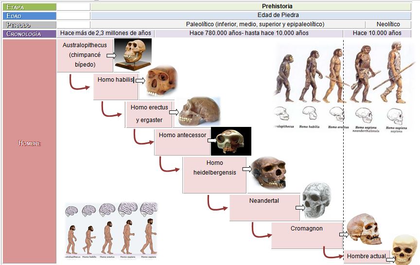 La nube de 6ºB: Unidad 13 de Cono | Evolución del Ser Humano