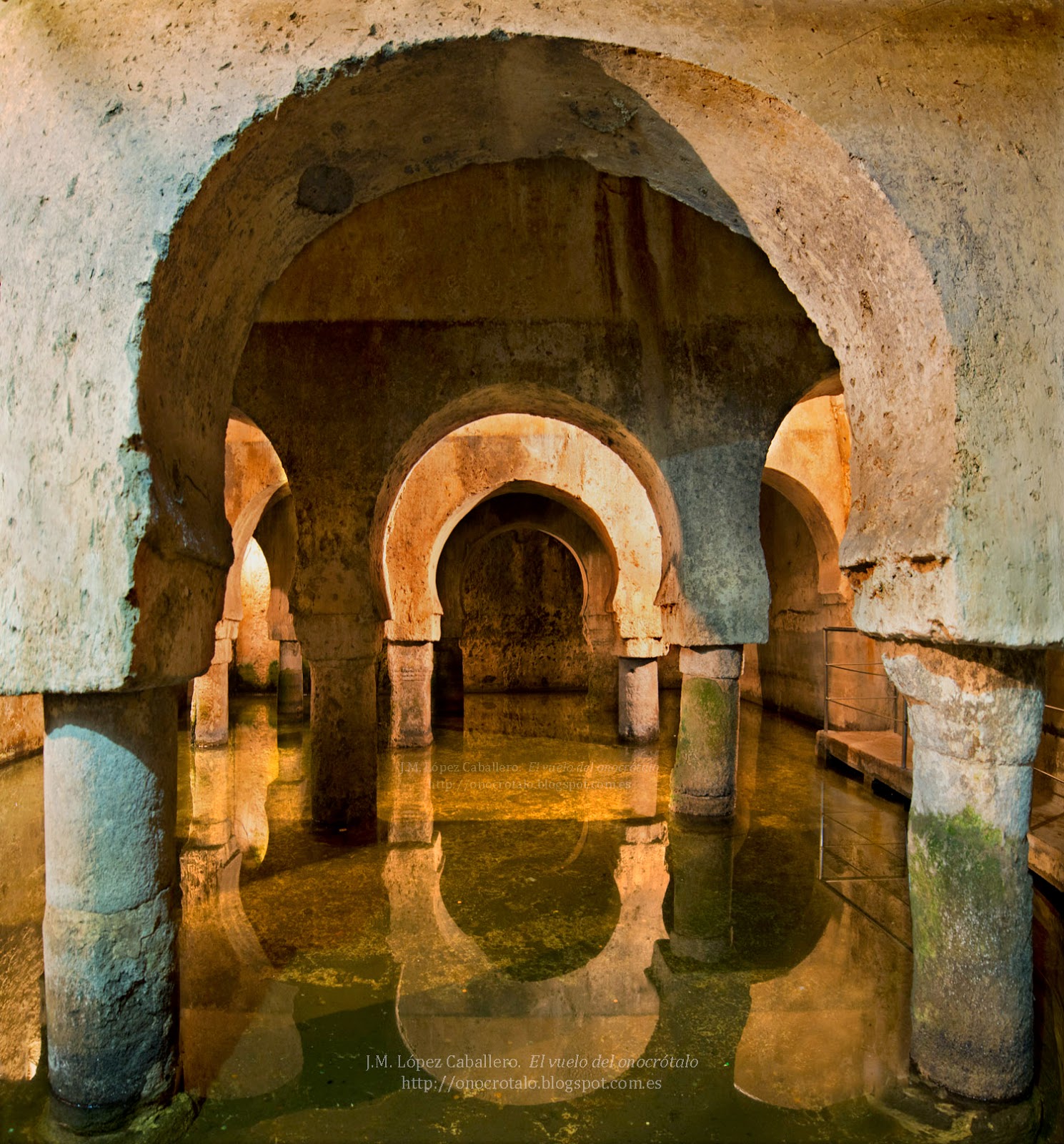 El vuelo del onocrótalo: Arriba y abajo. Los deslumbrantes aljibes de ...