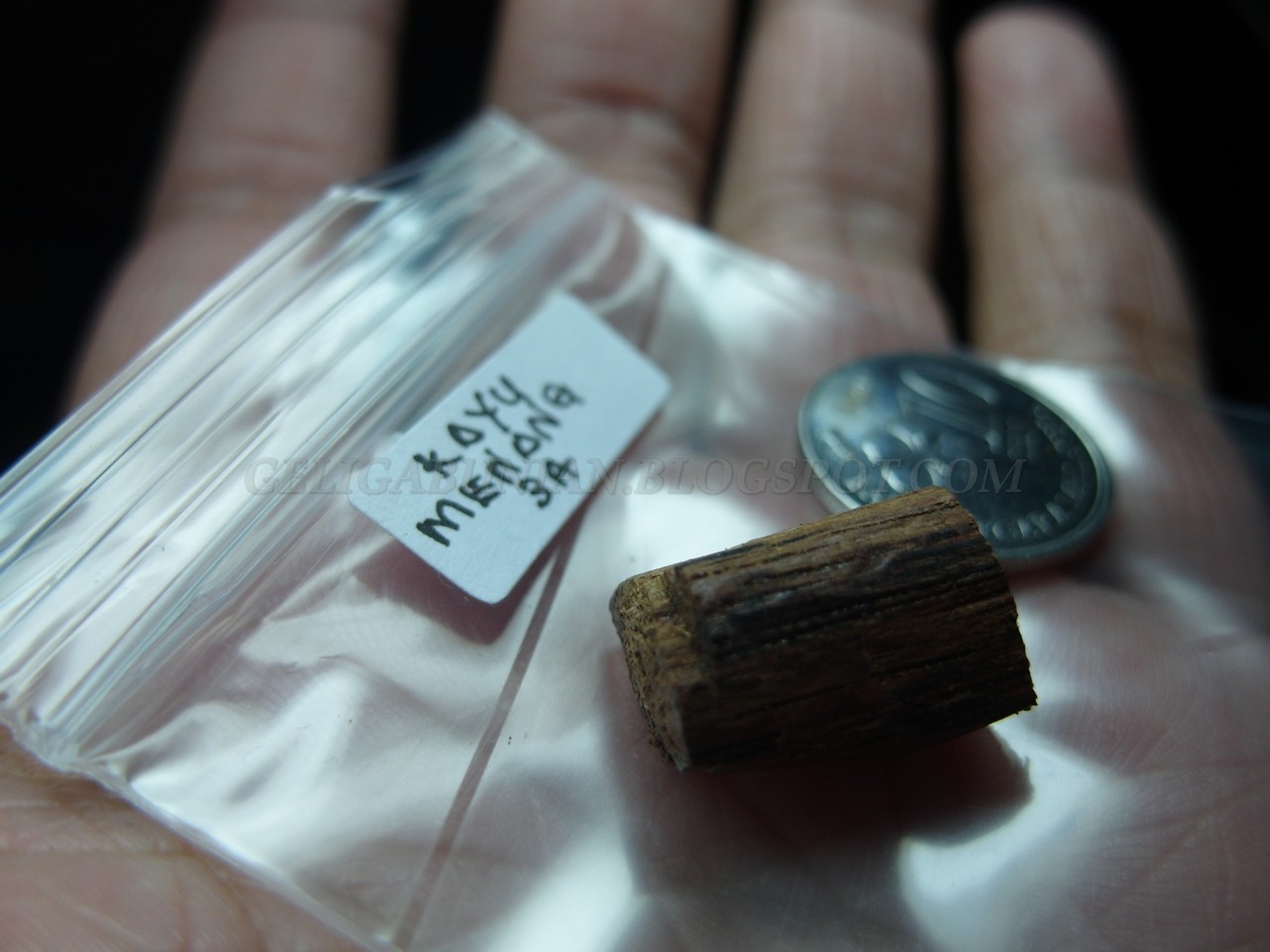 BLOG UTAMA Y.M PADUKA AYAHANDA PAY 8: KAYU MENANG