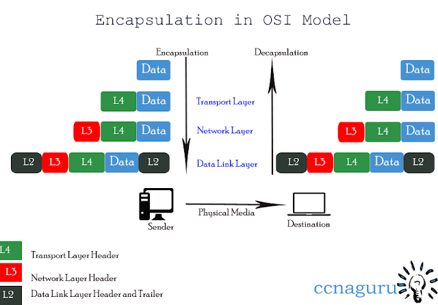 OSI Model Seven Layer Explained ~ CCNAGURU | Free CCNA Tutorials Guide and Labs.Study CCNA for free