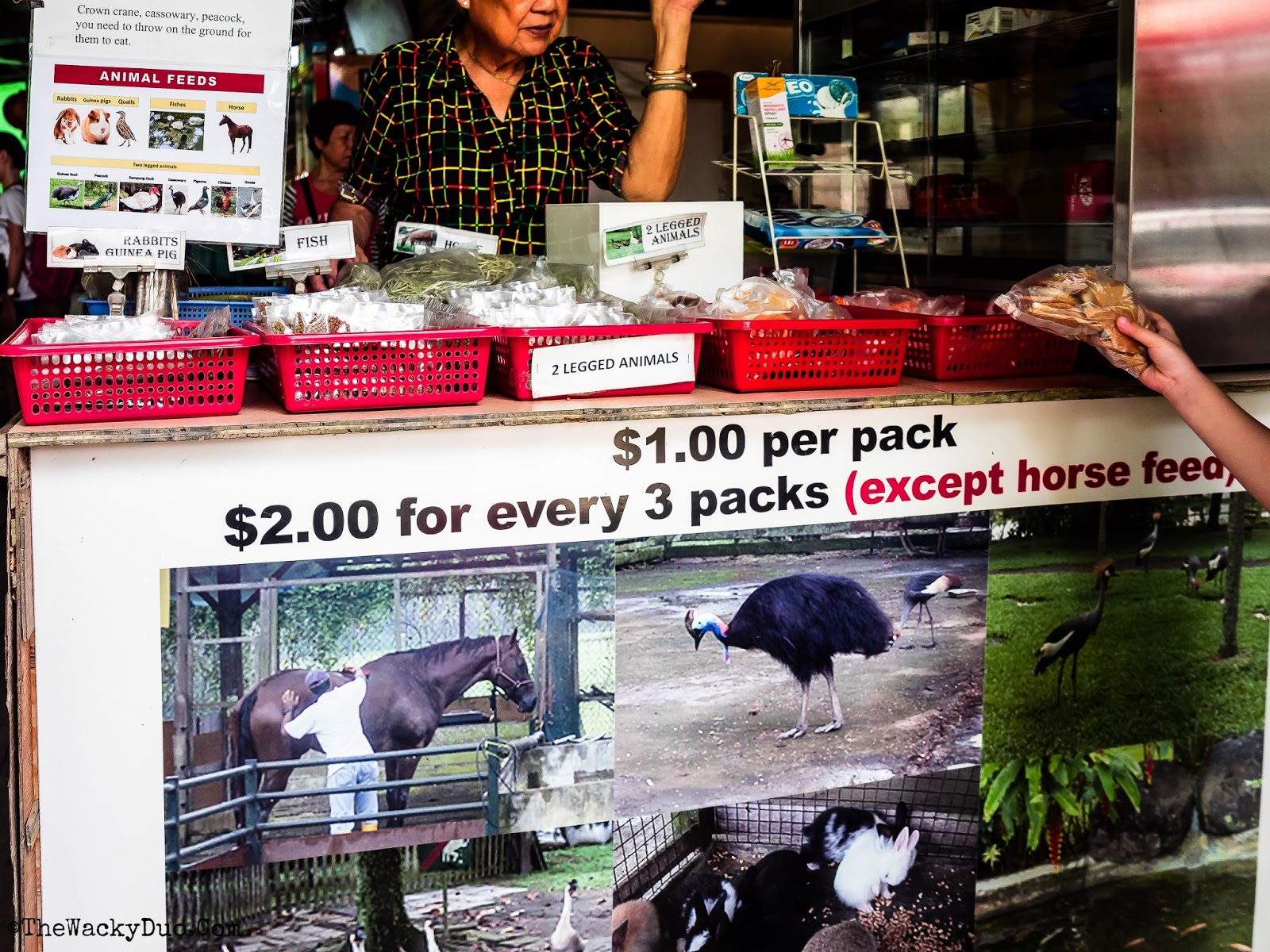 The Animal Resort Singapore @ Seletar West Farmway Review - TheWackyDuo ...