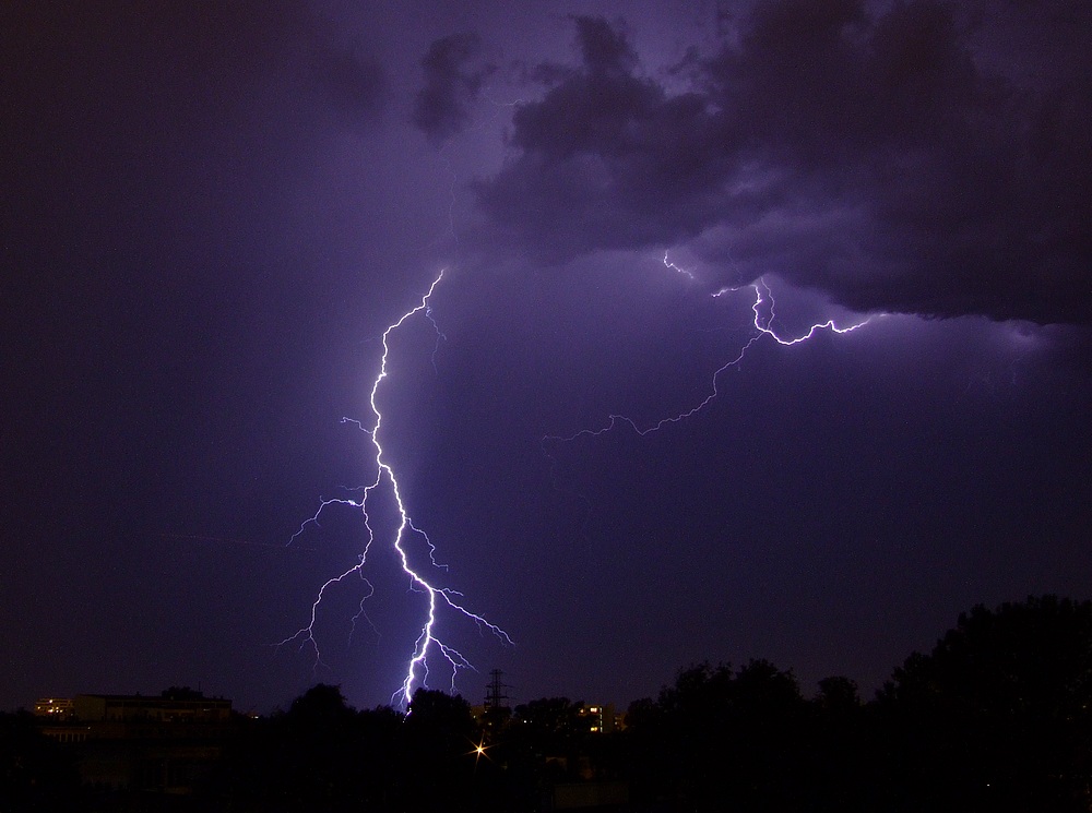 Burza z piorunami - Fikusy, storczyki, bonsai, draceny, a także ...