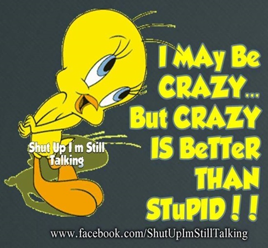 30 Best Funny Tweety Bird Quotes