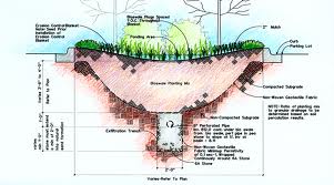 Bioswale, Vegetated Swale, or glorified drainage ditch?