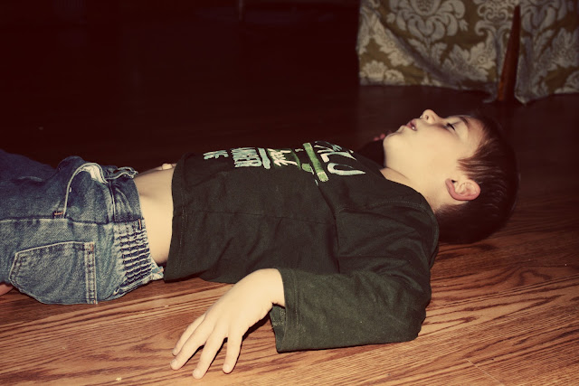 The Prairie Hen's Nest: Winter Wonderland