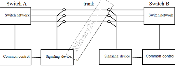 Basic conception of Signaling network ~ Facekhmer21