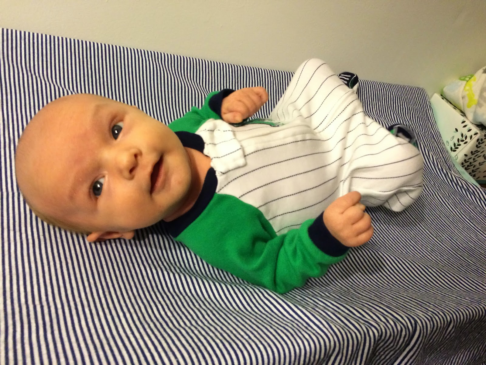 Blithe Button - Behind the Scenes: I'm back with a new little sidekick ...