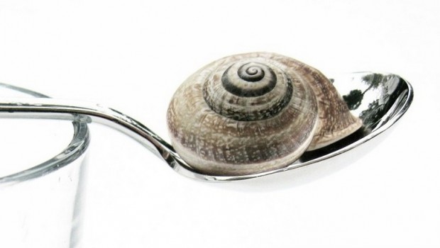 Puževi na seljački način - Čarolija stvaranja