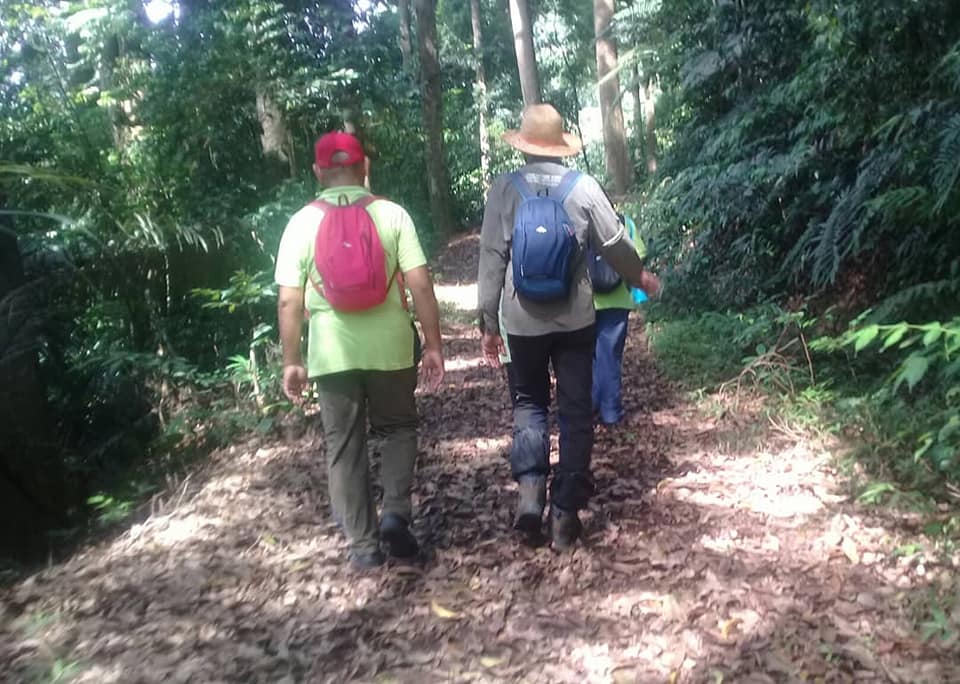 ! Selagi Nadi Ku Berdenyut !: Hiking / Jungle Tracking Di FRIM Kepong
