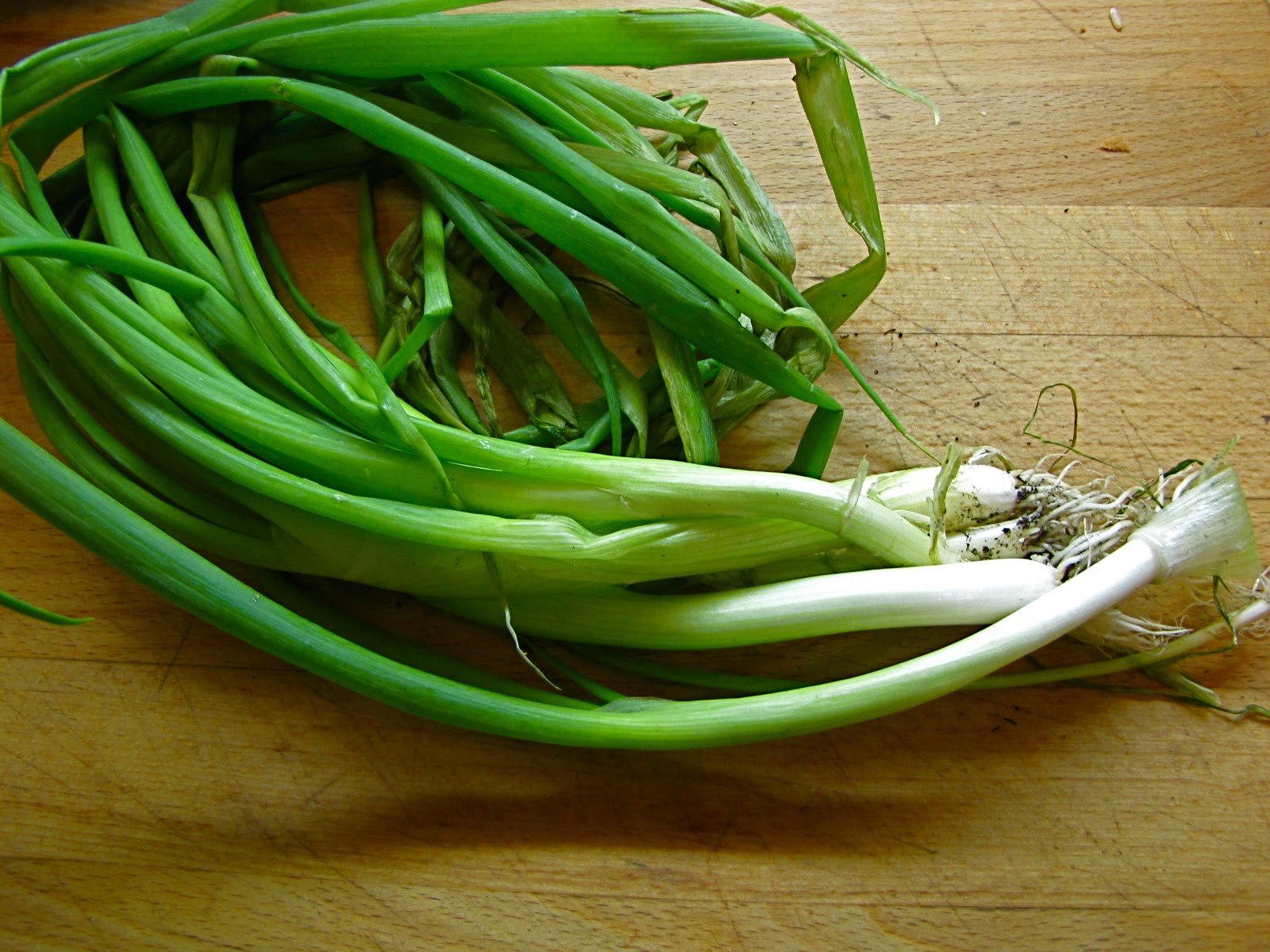 Grapes and Greens: in praise of scallions
