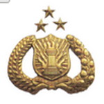 Indonesian Police System | Bigwas