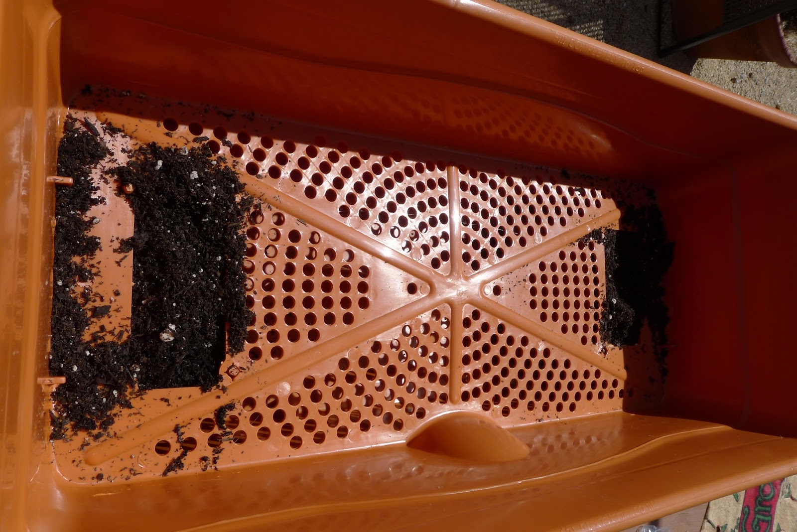 Do Cartwheels with Me: Ready, Get Set... Grow!