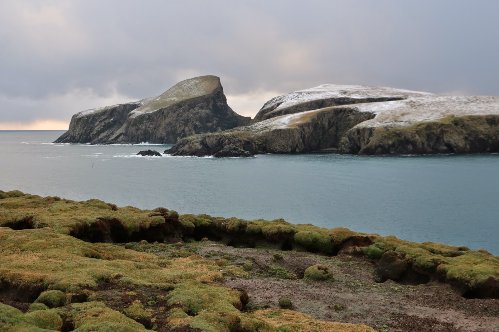 Fair Isle: A Walk with Sheep Rock in a Flurry of Snow?