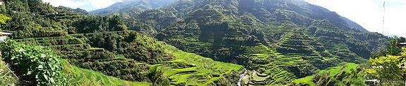 Yamang Lupa: Ang Banaue Rice Terraces!
