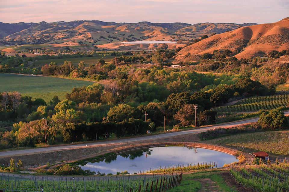 The Wine Write: Meet Wynne Solomon of Peake Ranch Winery