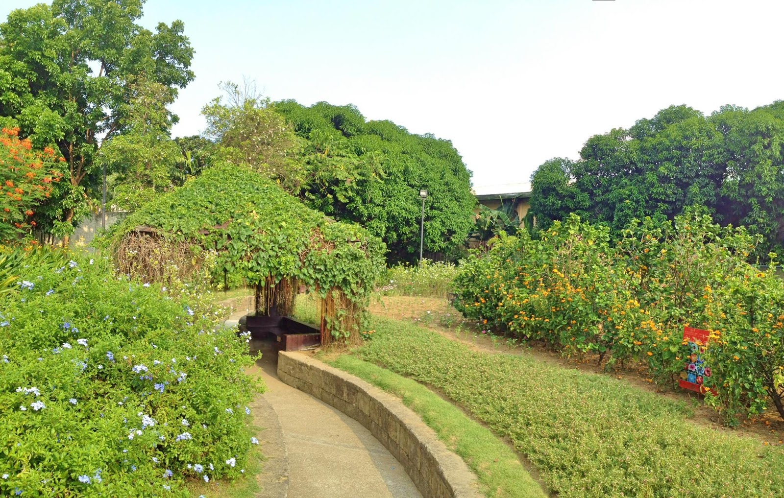 PASIG: Rainforest Adventure Experience (RAVE) - It's More Fun With Juan