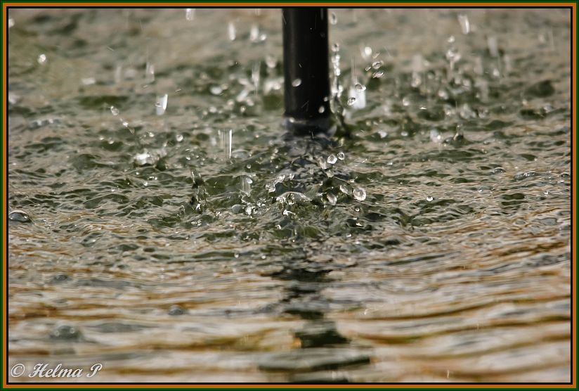 Helma's natuurfoto's: Regendruppels......
