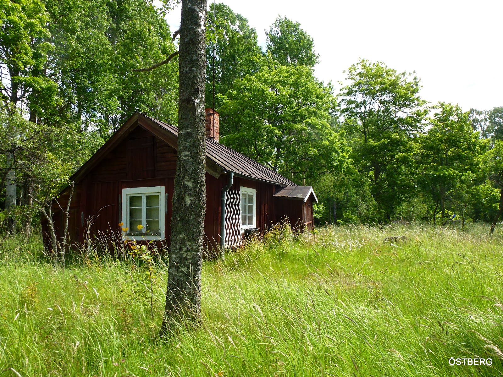 Mitt liv här och nu : Mera TORP och gratulationer
