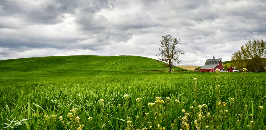 Dream Big Live Real: Photo: Life On The Farm