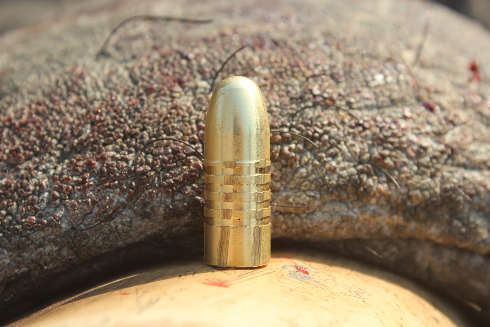 D'Arcy Echols & Co.: Classic 505 Gibbs in the field