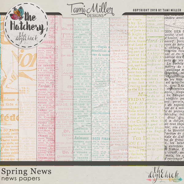 Artistic Creative Designs : Spring News by Tami Miller Designs