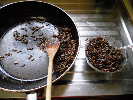 Far Reaching Ministries: The Easthams' White Ants