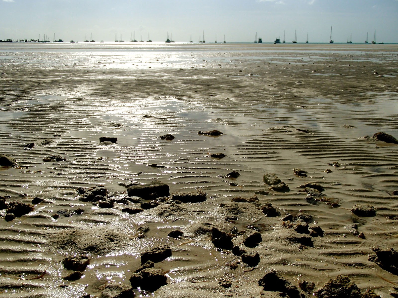 Windtraveler: Low Tide