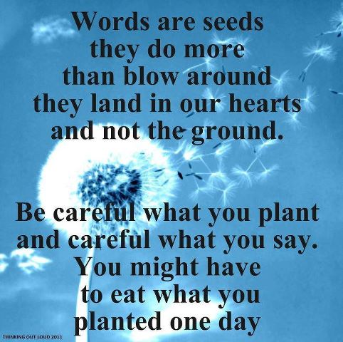 Lift You UP Blog - Always there for You: WORDS ARE SEEDS