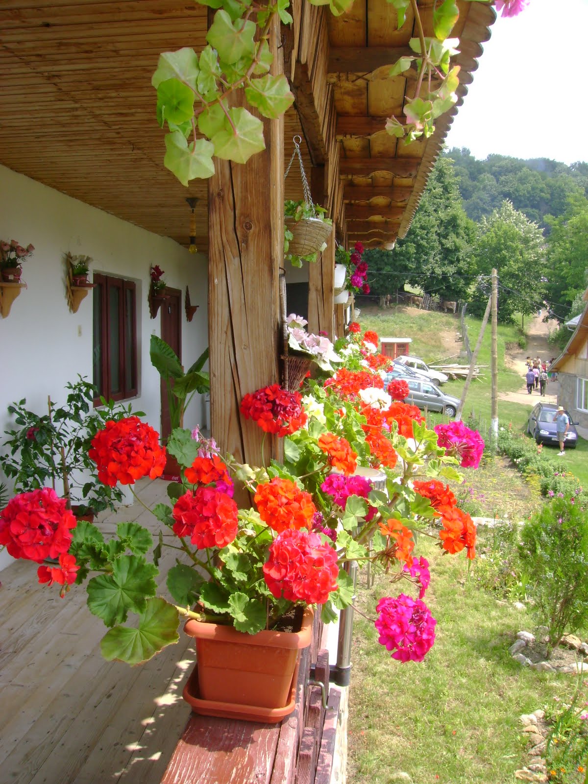 Timp liber: Manastirea Carnu