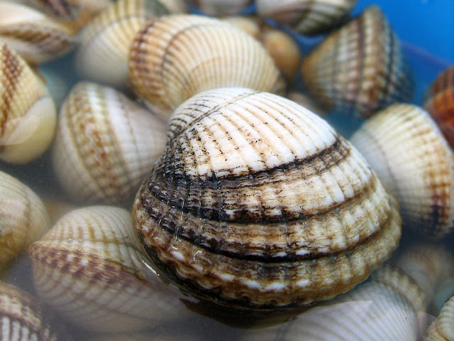 Warming the Cockles of Singapore Hearts 💗 |Tony Johor Kaki Travels for ...