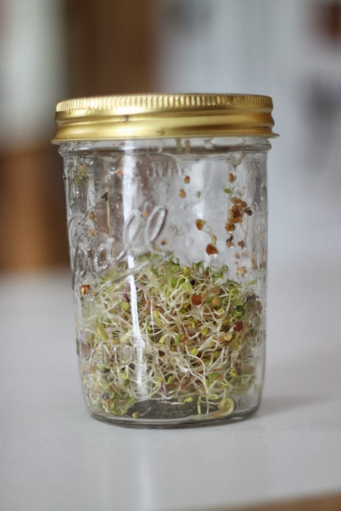 The Really Crunchy Mom: Sprouts