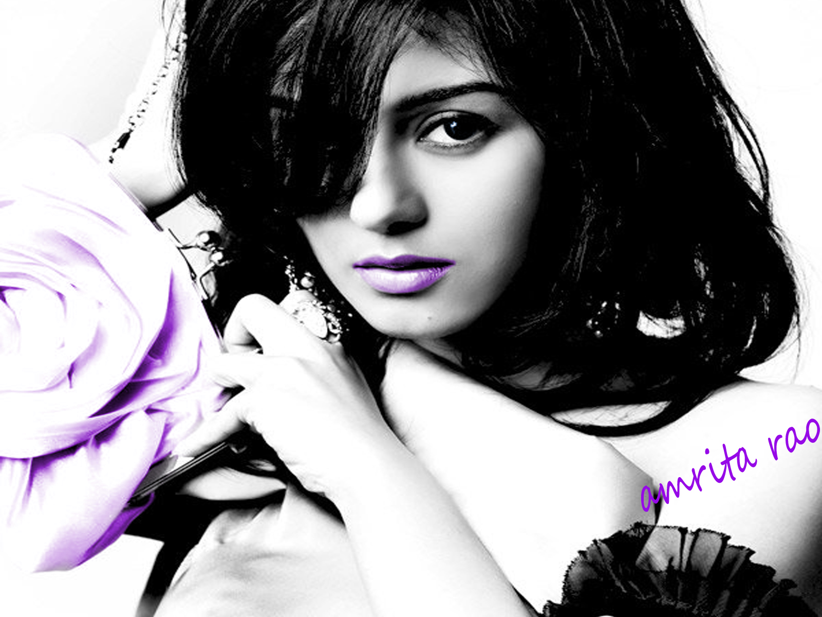 Bollywood Actress World (Original): Hot Bollywood Actress Amrita Rao ...