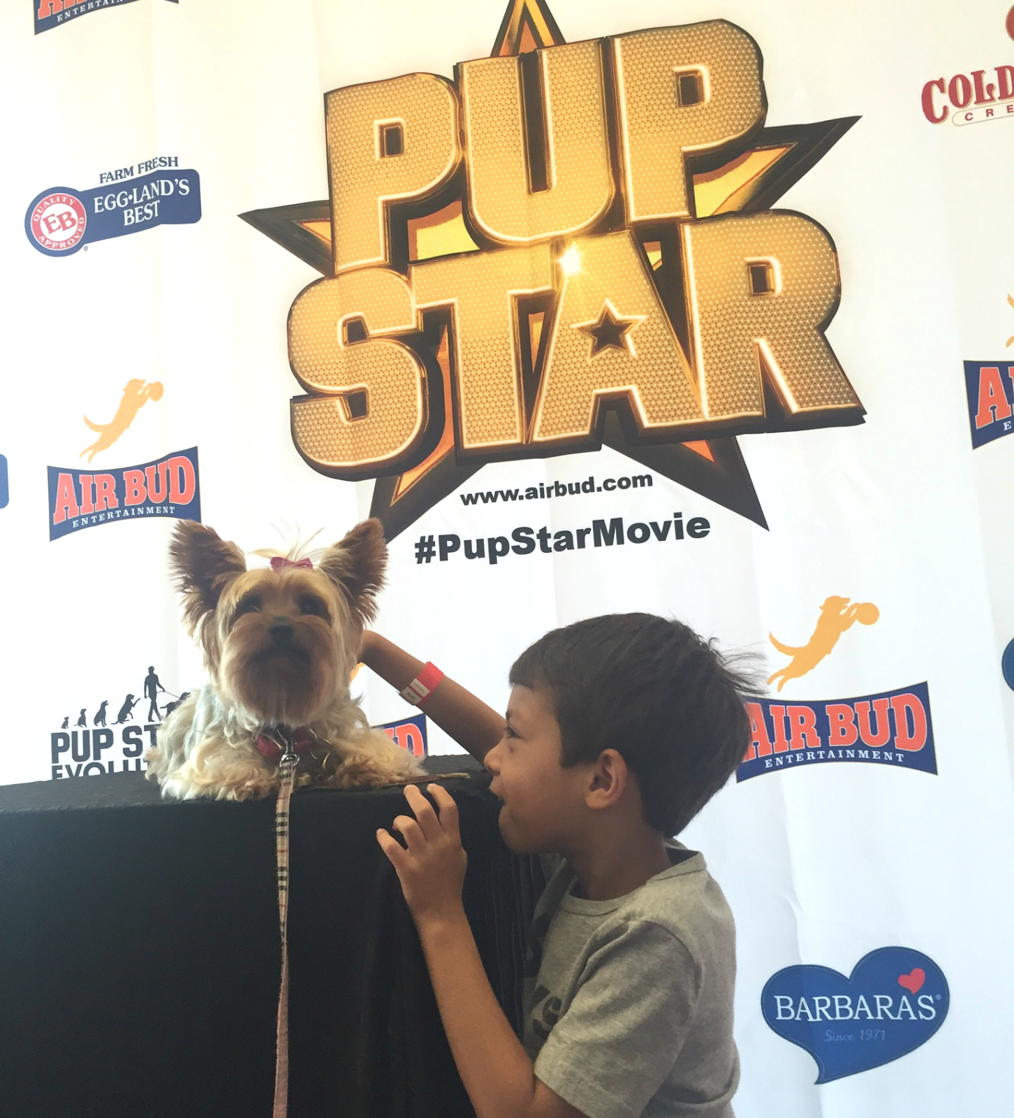 Pup Star Movie | Happy Mess MOMents