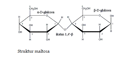 owner's blog: DISAKARIDA DAN POLISAKARIDA
