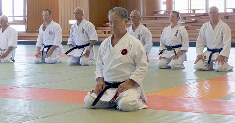 Goju-ryu técnicas goju ryu techniques | Karate-Do Tradicional 空手