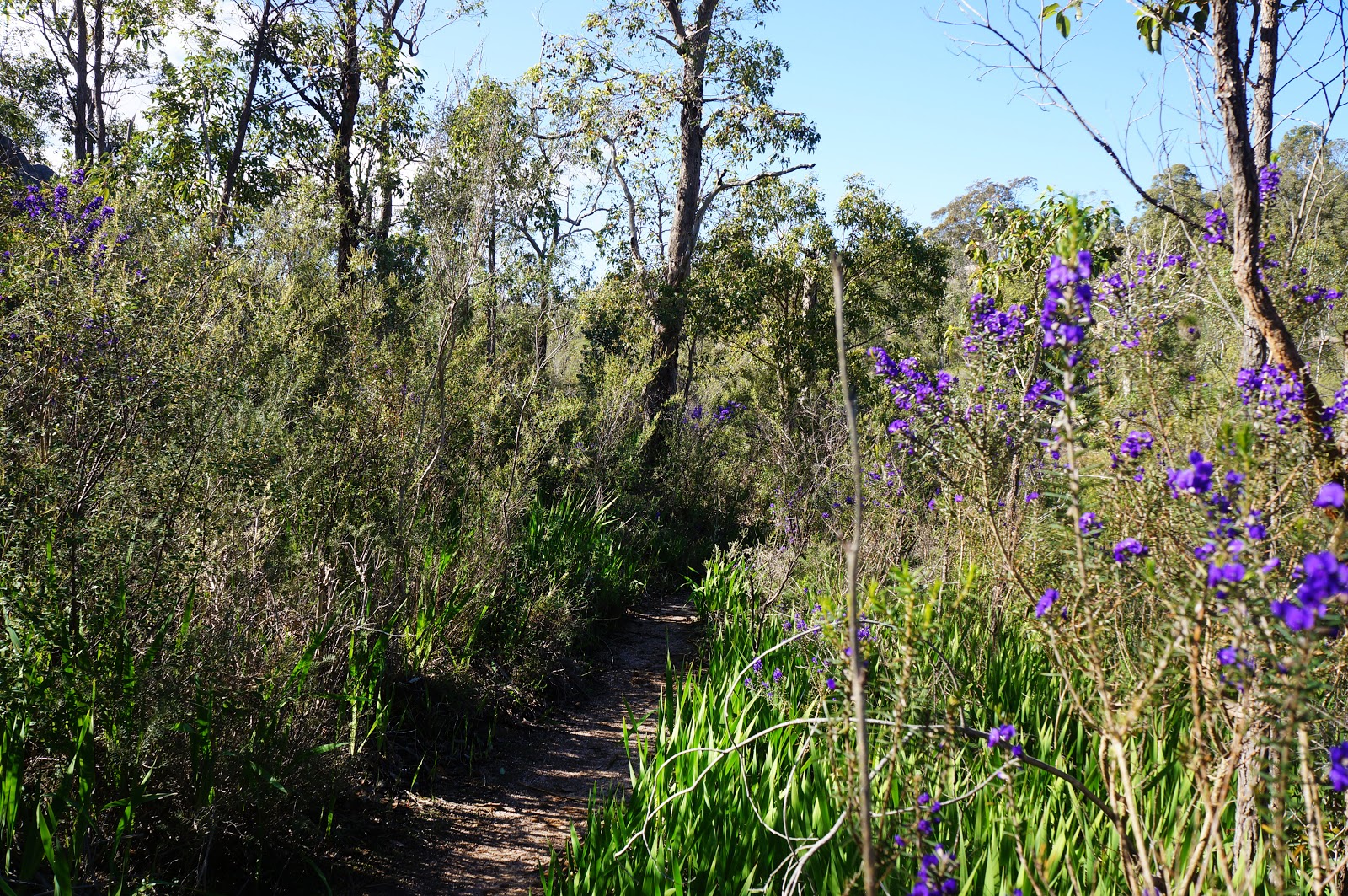 Eagle View Walk Trail (John Forrest National Park) ~ The Long Way's Better