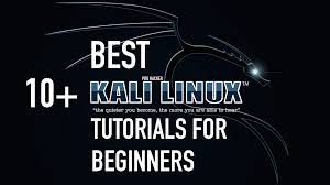 about kaali linux