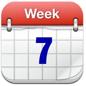 Southeastern Course Info: Week 7 Discussion Forum - July 16th - July 24th