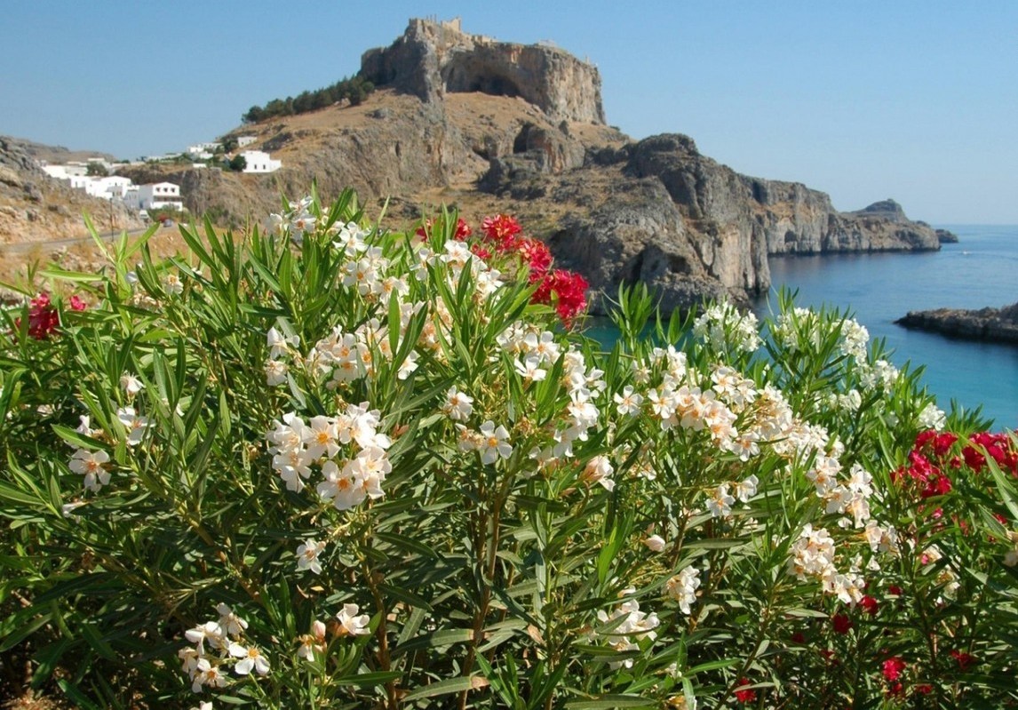 Ghid de calatorie: Grecia - Insula Rodos