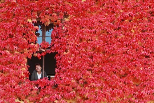 Jason Stiff: Autumn Begins...