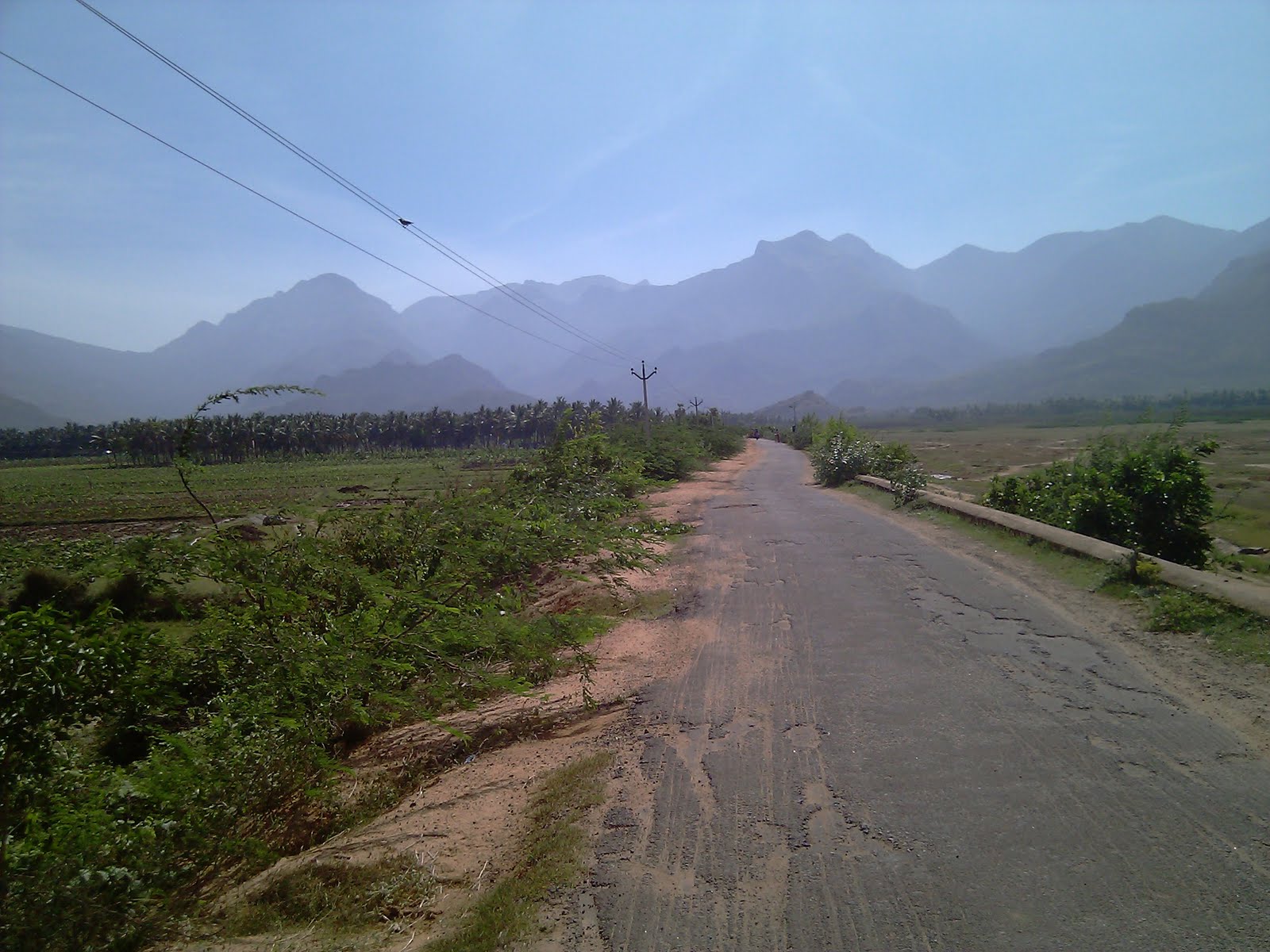 Zestily: Nambi Kovil, Tirunelveli. 08 May 2011