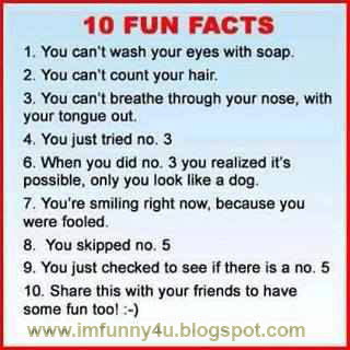 Funniest story around the world: 10 Funny facts