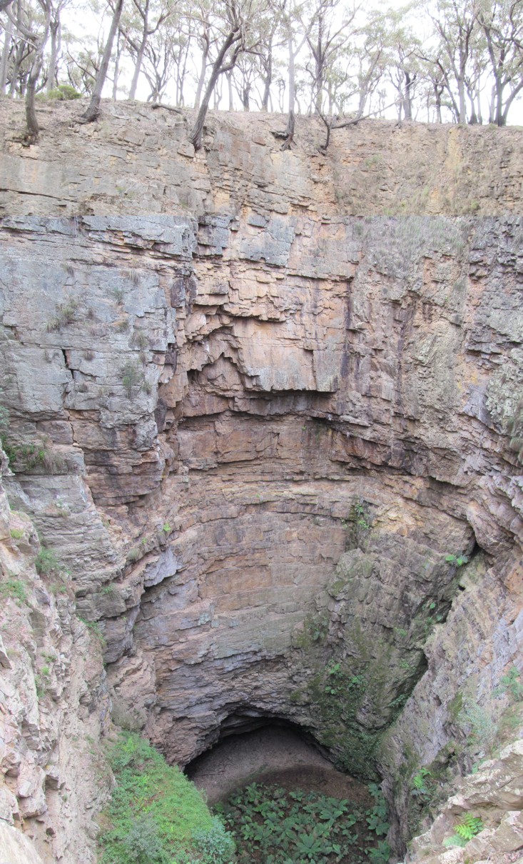 PhyloBotanist: Boxing Day trip to Deua National Park