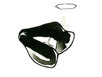 Lilla plupp: Illustrationer