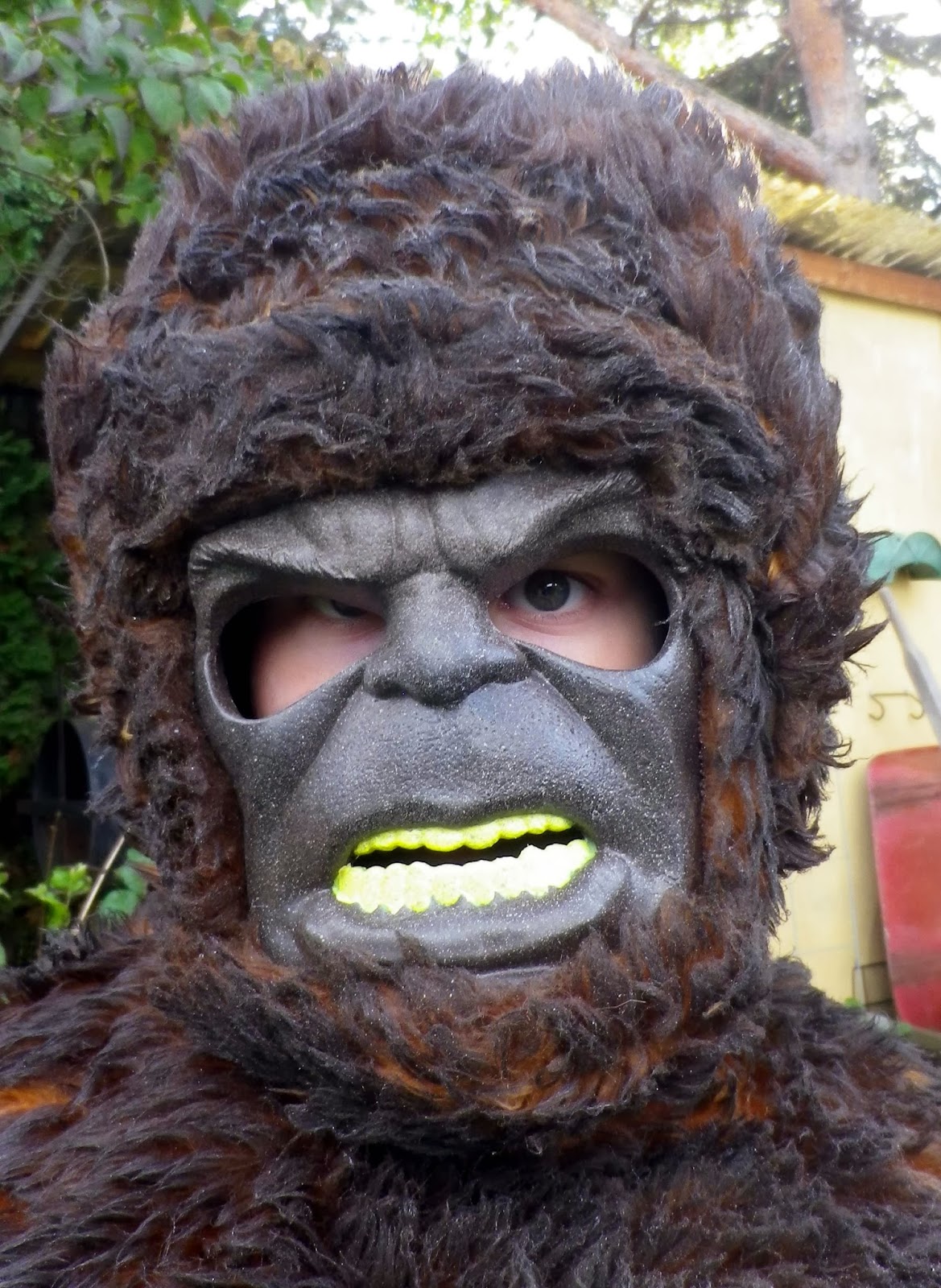 Cards by CG: DIY Bigfoot Costume for a Bigfoot Fanatic!!