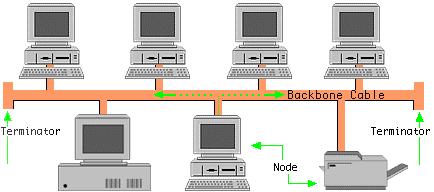 Networking(DCCN): bus TOPOLOGY
