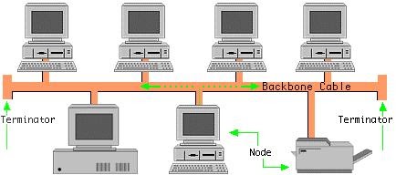 Networking(DCCN): bus TOPOLOGY