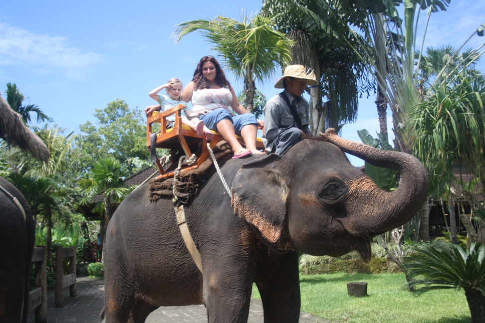 Op avontuur in Bali: Olifanten, krokodillen en tijgers knuffelen