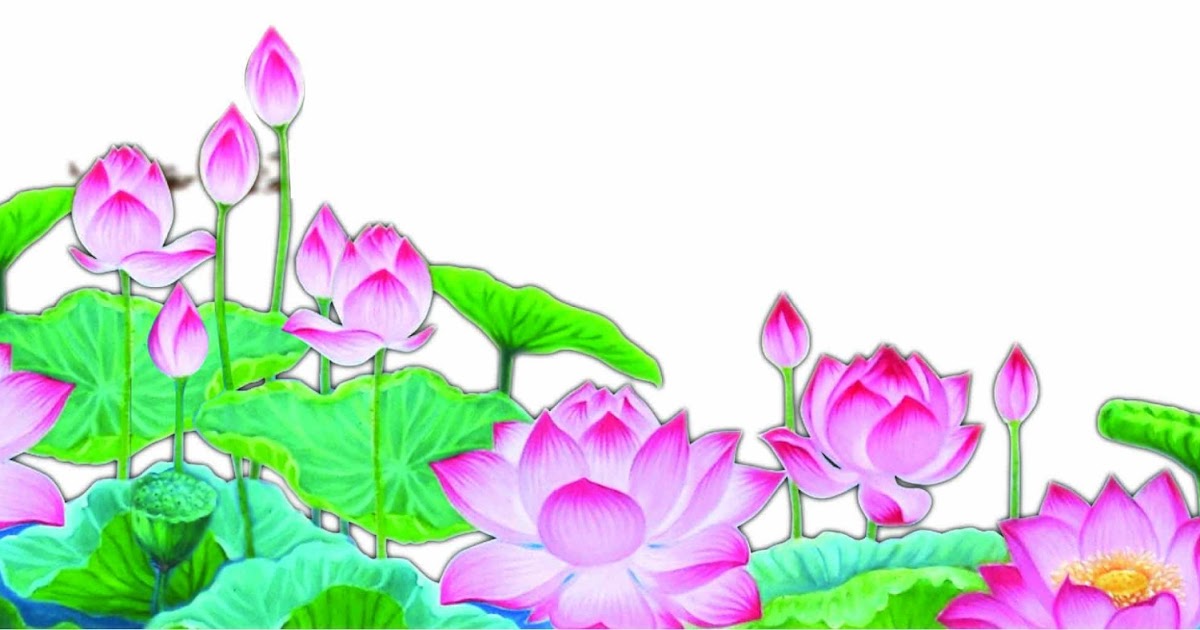 Hoa sen file PSD - công ty in ấn