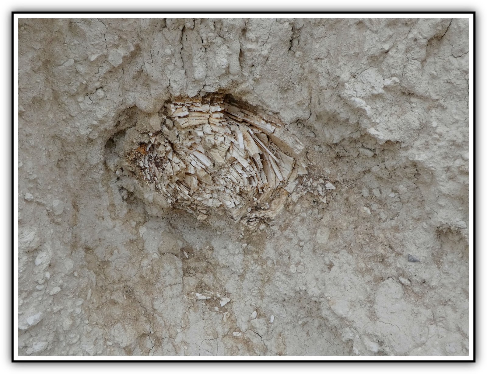 Ken's Photo Gallery: Tule Springs Fossil Beds National Monument (TUSK ...